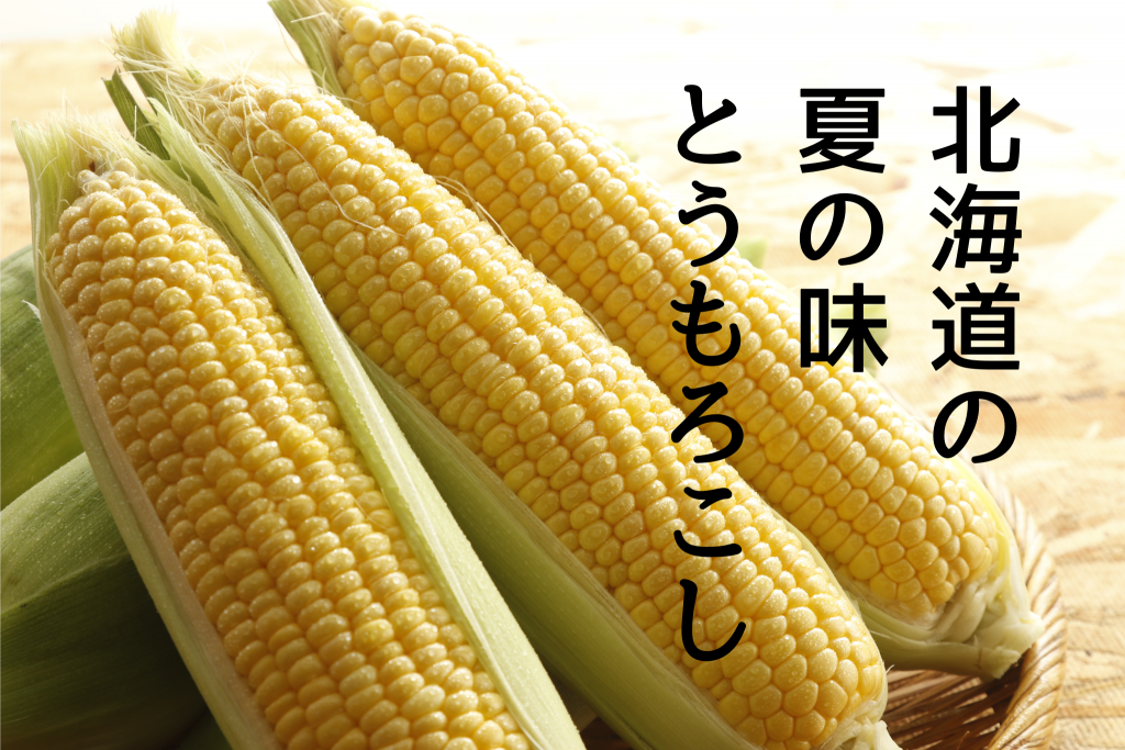 北海道とうもろこしの旬が来る！その時期と特徴について | 食べレア北海道｜北海道の食材お取り寄せ通販サイト